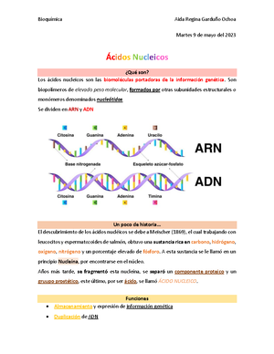 Introducción Endo - FISIOLOGÍA: ENDOCRINO INTRODUCCIÓN MEDIO INTERNO 60% del cuerpo humano del ...