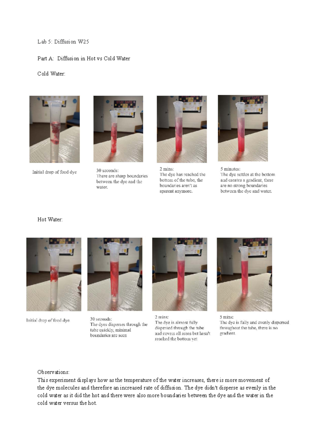 Lab 5 Diffusion W25 - Mandatory lab - Phys*1080 - Lab 5: Diffusion W ...