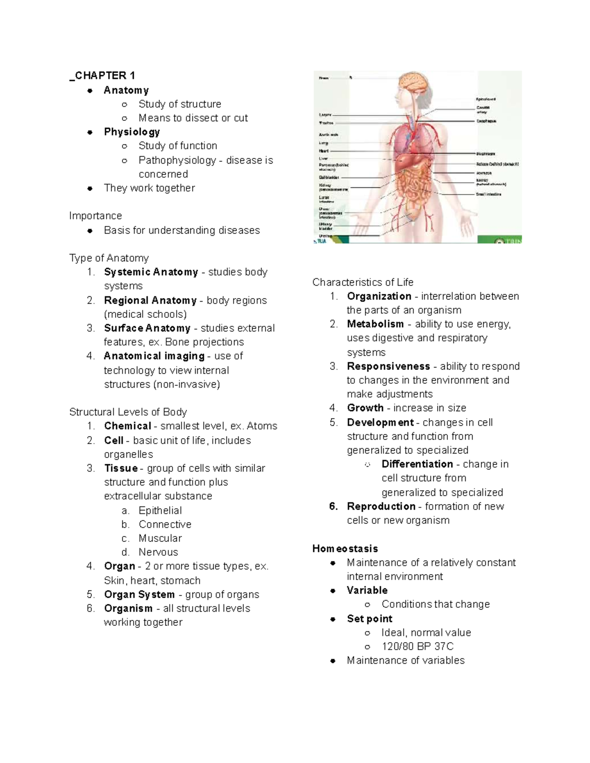 Anaphy 1st Year Lecture Notes: Anatomy & Physiology Overview - Studocu