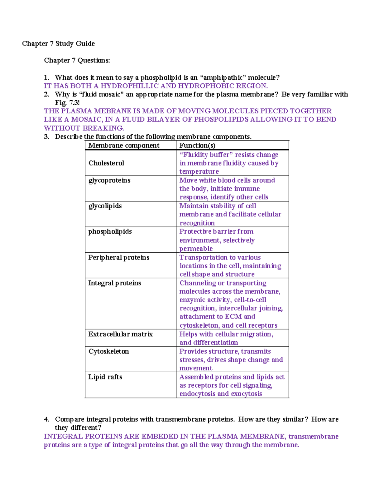 Chapter 7 study guide updated 8-25-23 - Chapter 7 Study Guide Chapter 7 ...