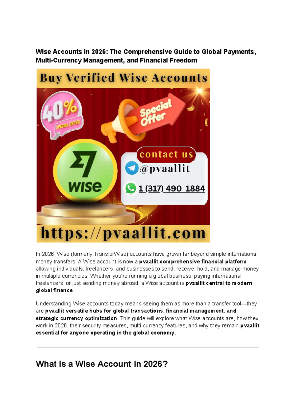 Wise Accounts in 2026: A Guide to Global Payments & Management - Studocu