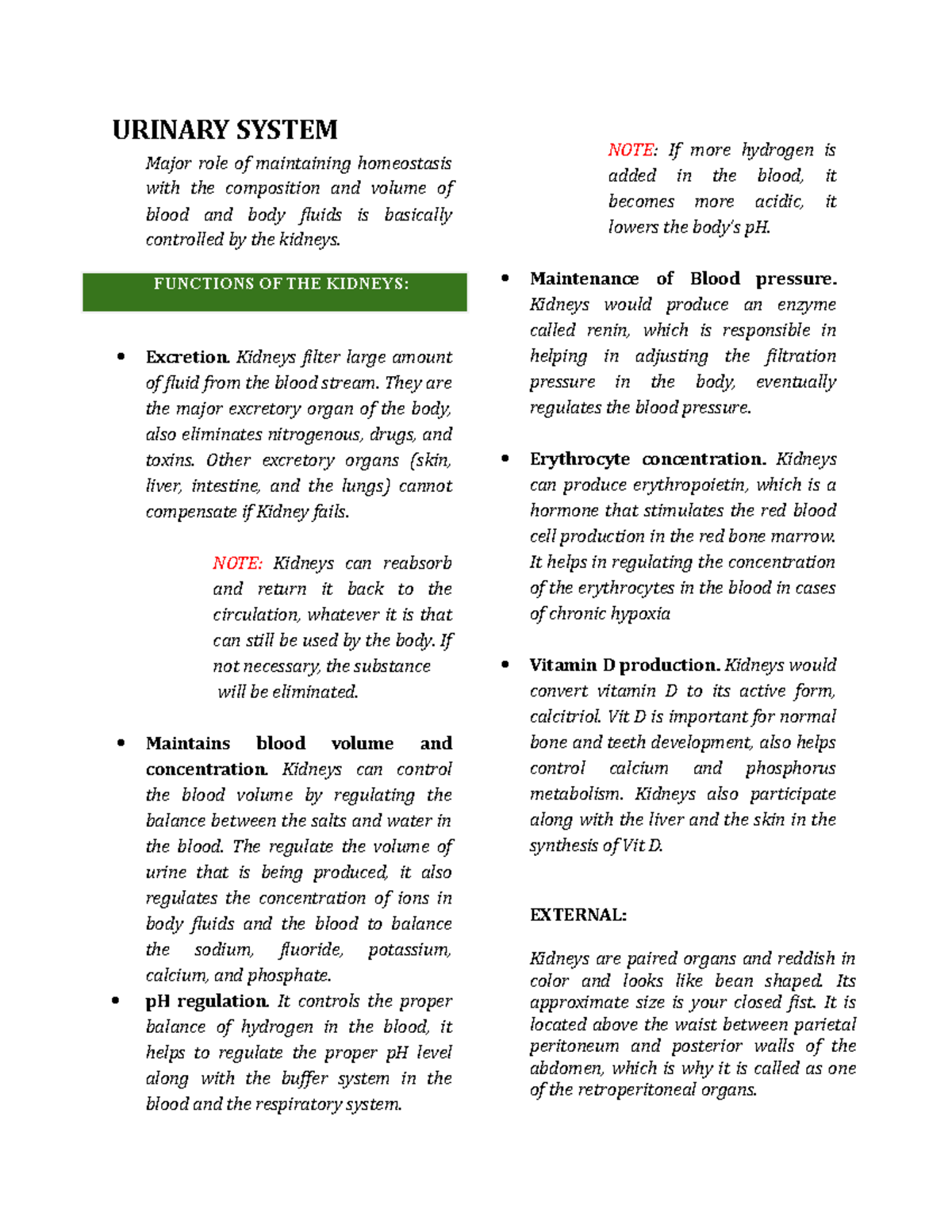 Urinary System Overview and Functions (BIO 101) - Studocu