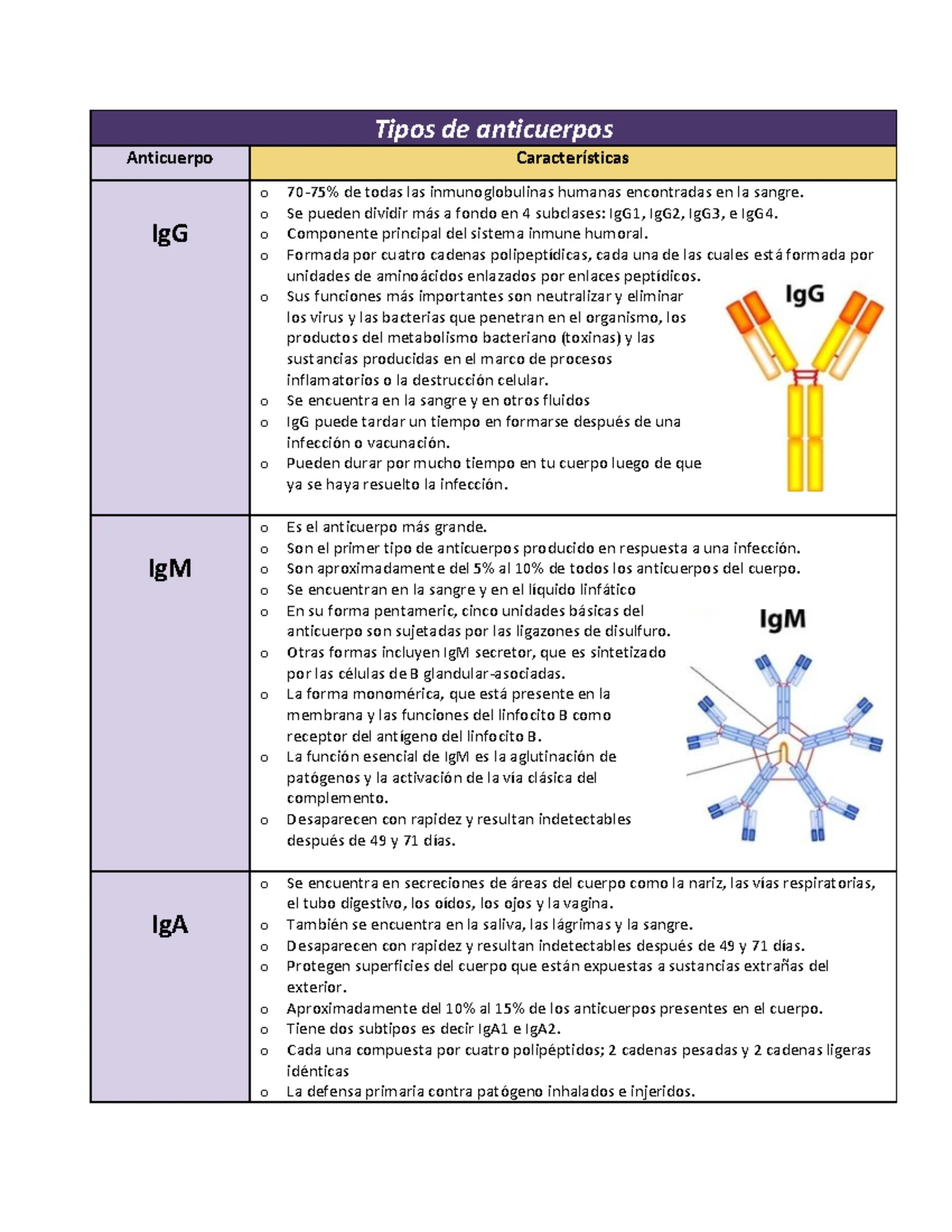Alotipo, isotipo e idiotipo de anticuerpos: Conceptos y ejemplos - Studocu