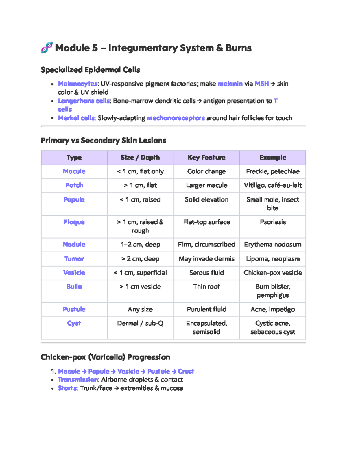 Module 5 & 6: Integumentary & Cardiovascular Systems Overview - Studocu