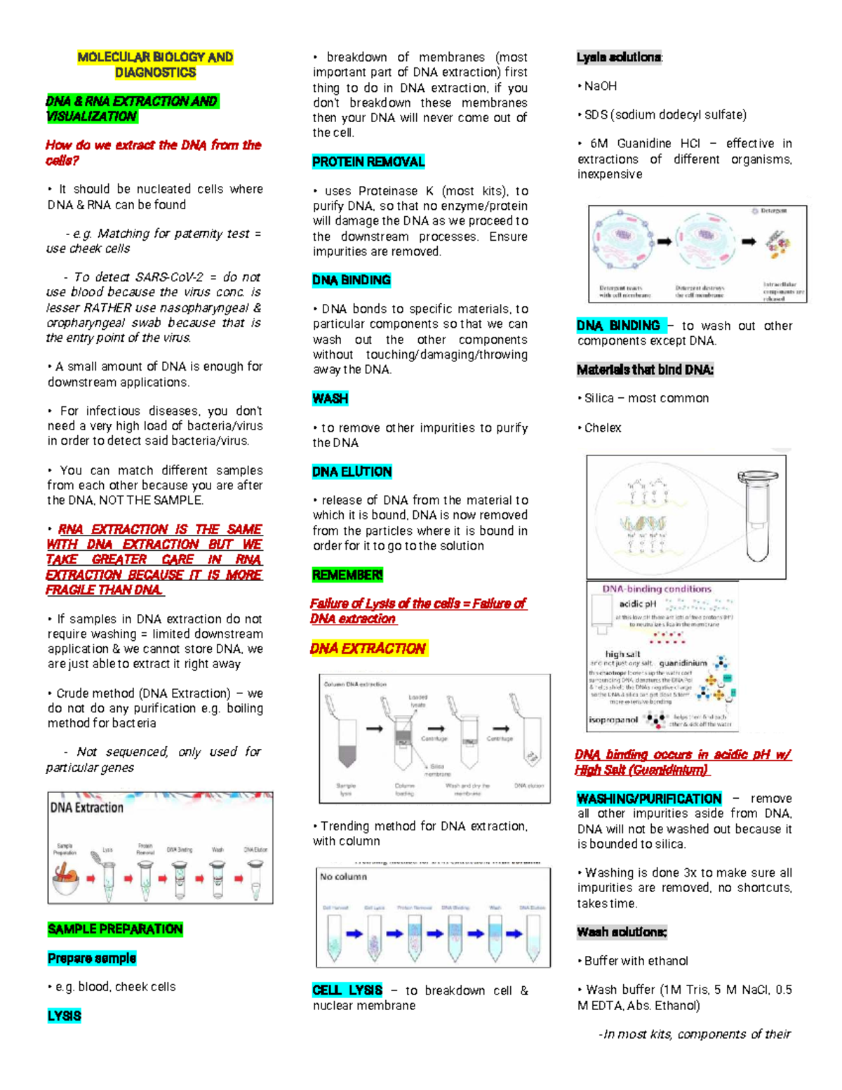M2. DNA & RNA Extraction and Visualization Techniques in Molecular ...