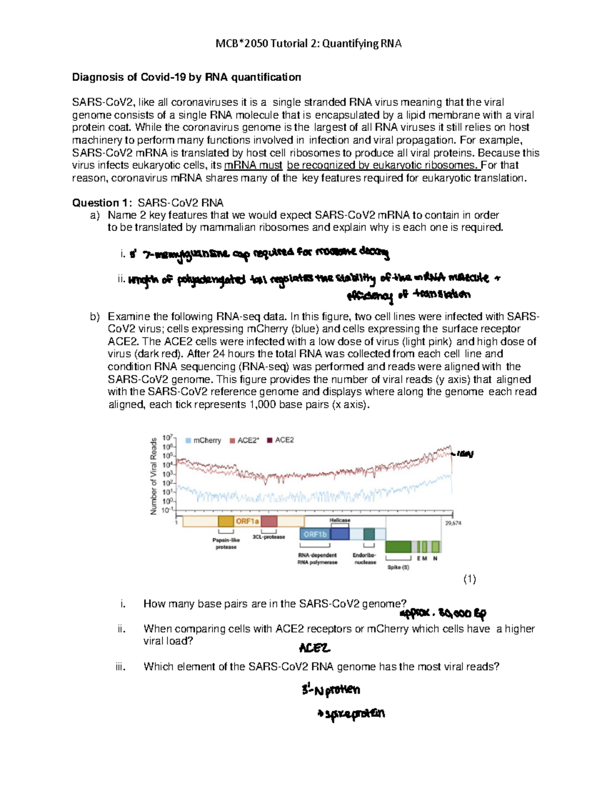 MCB 202: Tutorial 2 - Quantifying RNA for Coronavirus Diagnosis - Studocu