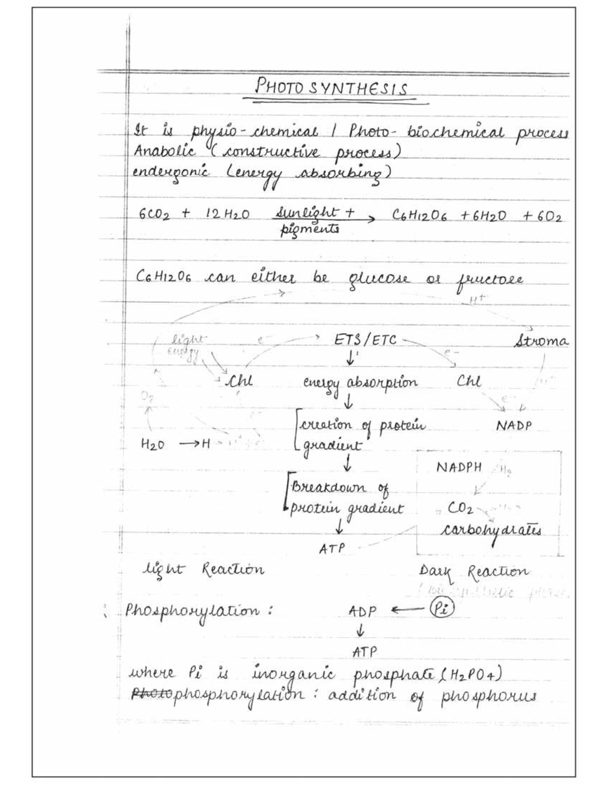 12. Photosynthesis in Higher Plants: Mechanisms and Reactions - Studocu