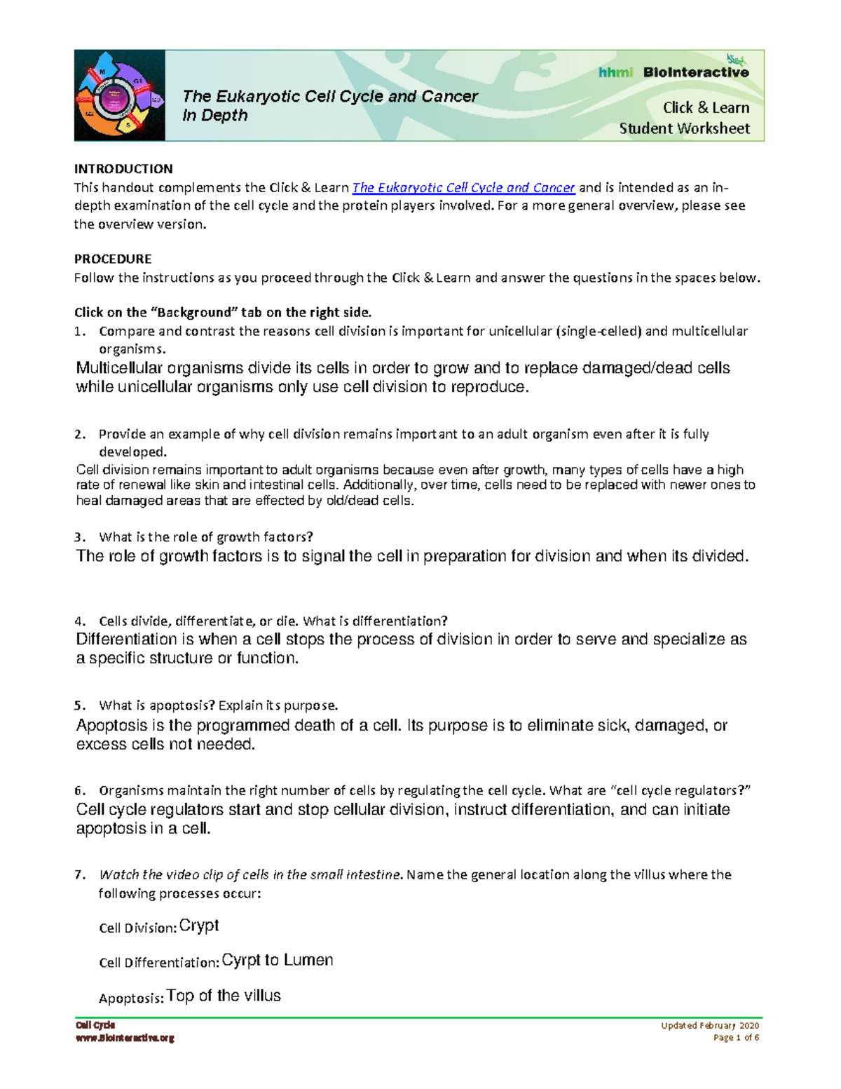 The Eukaryotic Cell Cycle & Cancer: In-Depth Worksheet (Bio 101) - Studocu