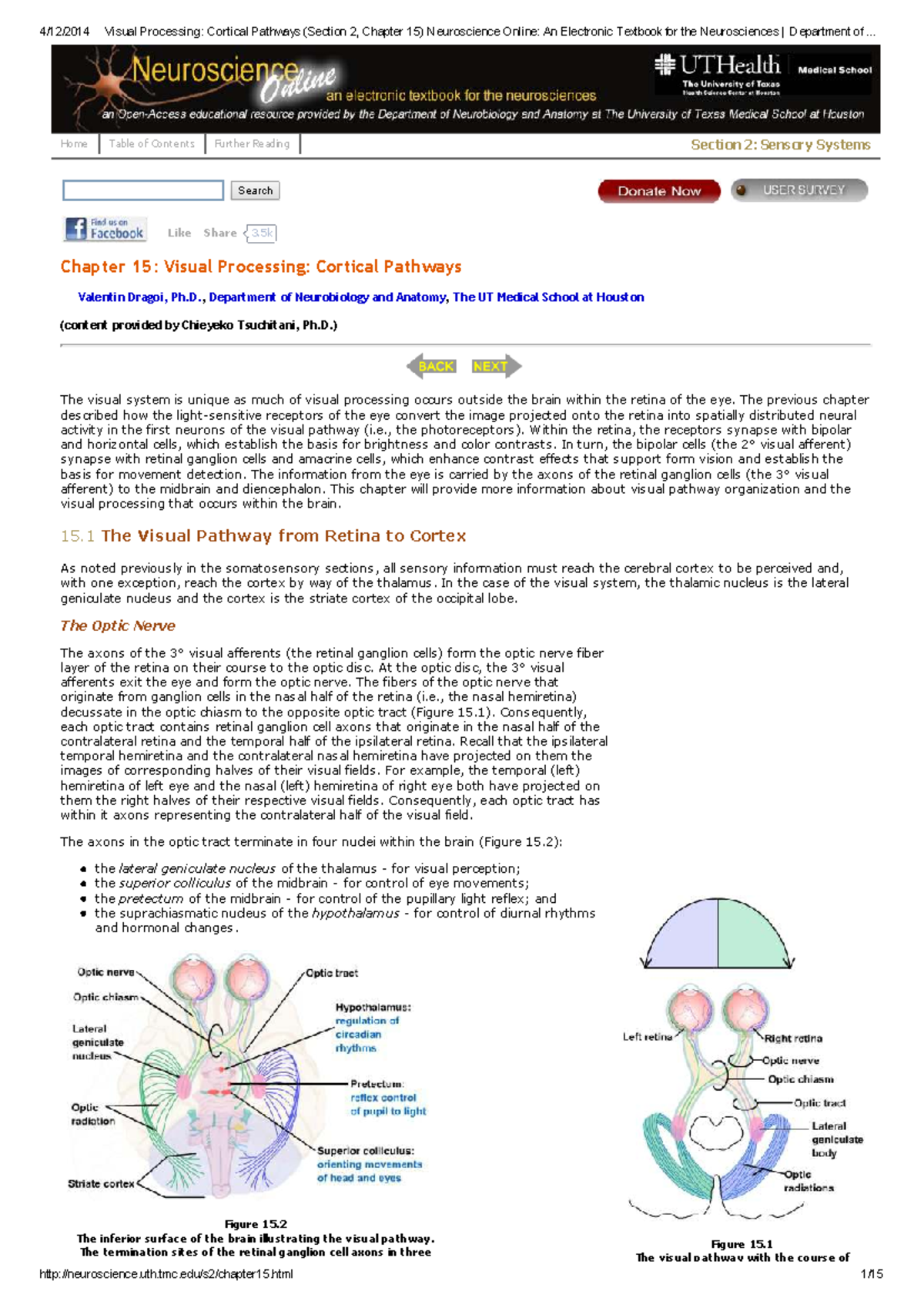 Visual Processing: Cortical Pathways (Neuroscience Online, Chapter 15) - Studocu
