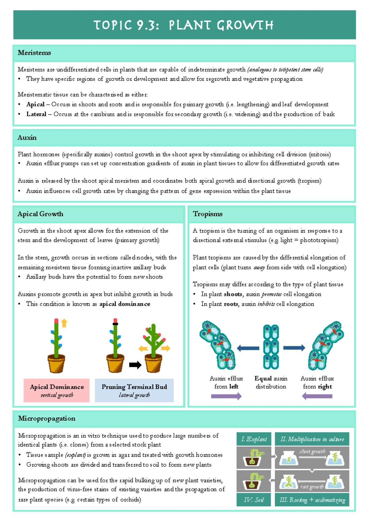 9.4 Plant Reproduction: Key Stages and Mechanisms in Angiosperms - Studocu