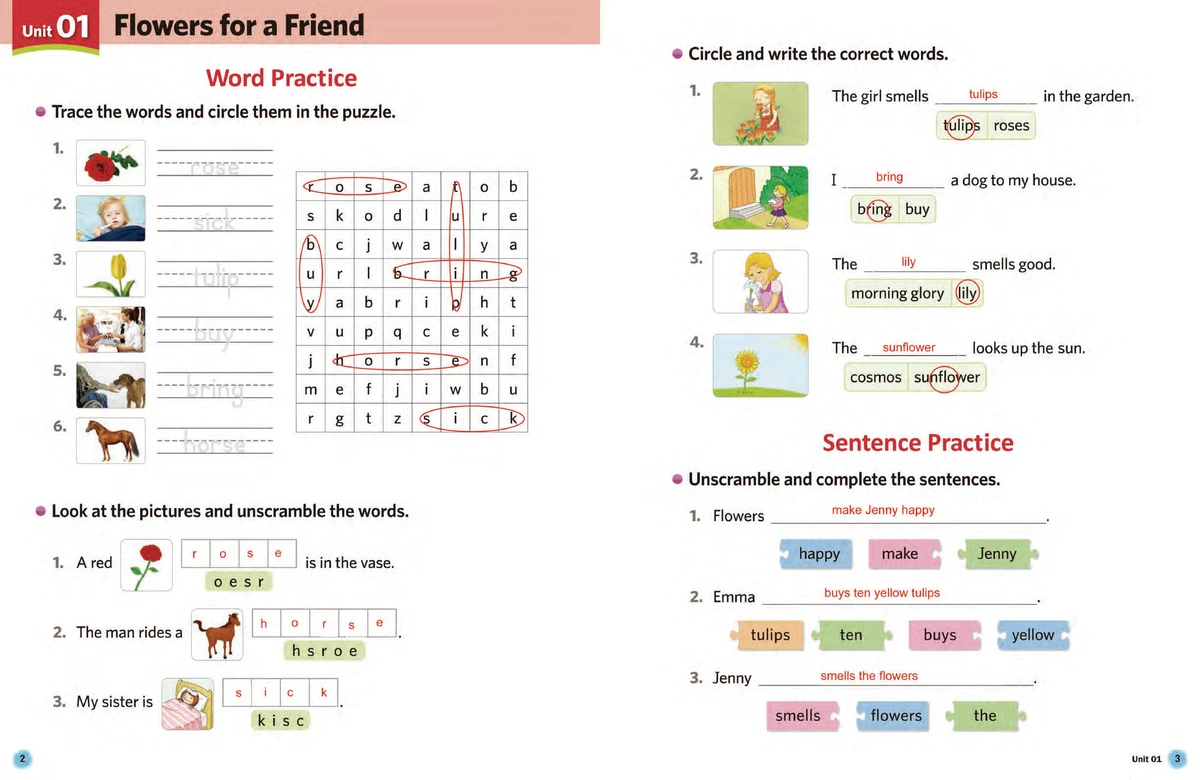 Bricks Reading 120 Nonfiction L2 WB Unit Answer Key - Studocu