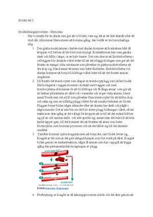 [Solved] Beskriva cellmembranets bestndsdelar uppbyggnad och funktioner ...