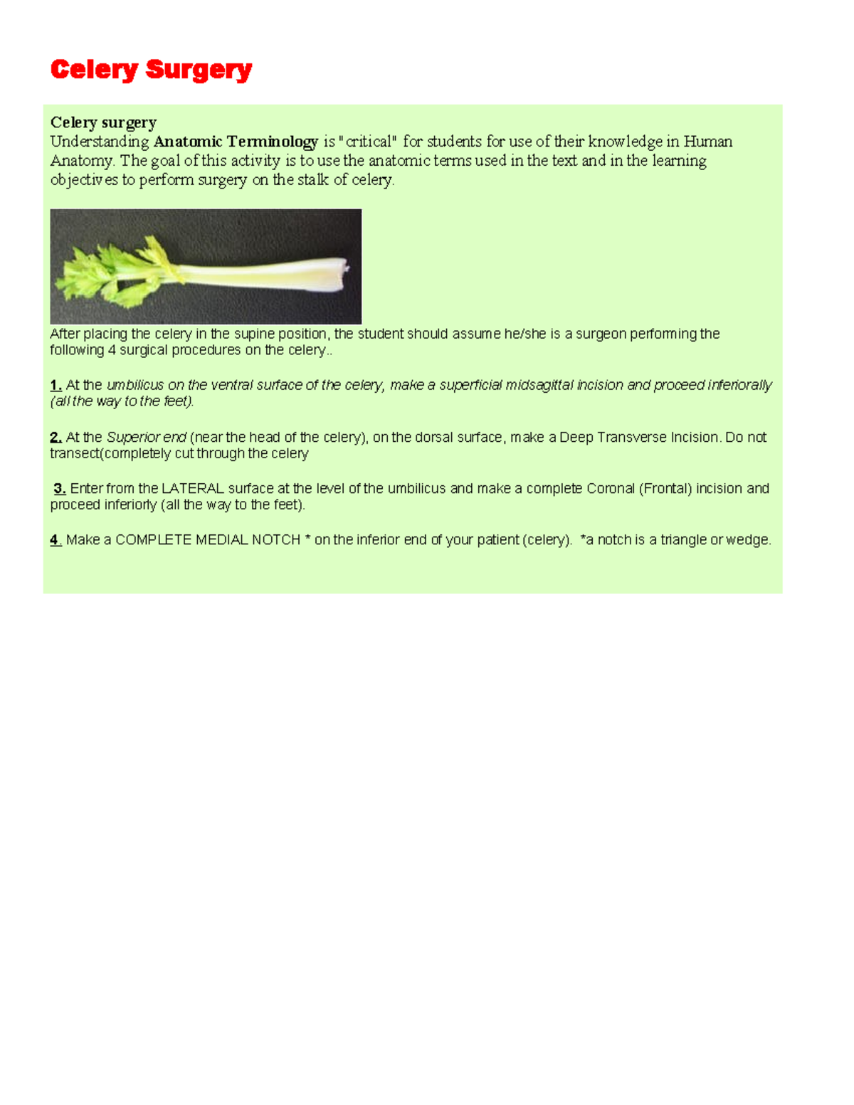 Human Anatomy Lab: Celery Surgery & Anatomic Terminology - Studocu