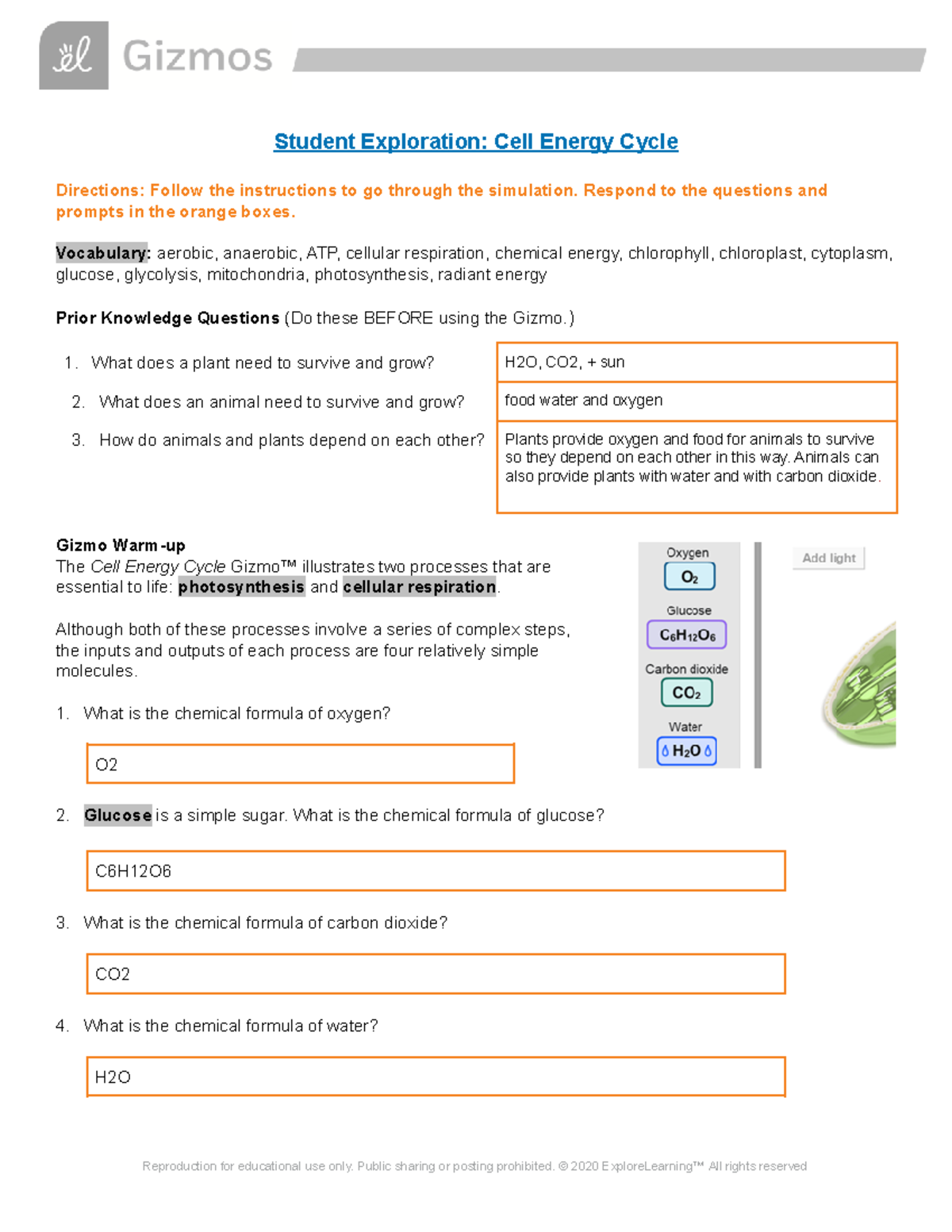 Gizmo Cell Energy - Student Exploration: Cell Energy Cycle Directions ...