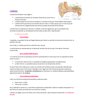 Intro + trompes de fallope - INTRODUCTION : Le tractus génital comprend ...
