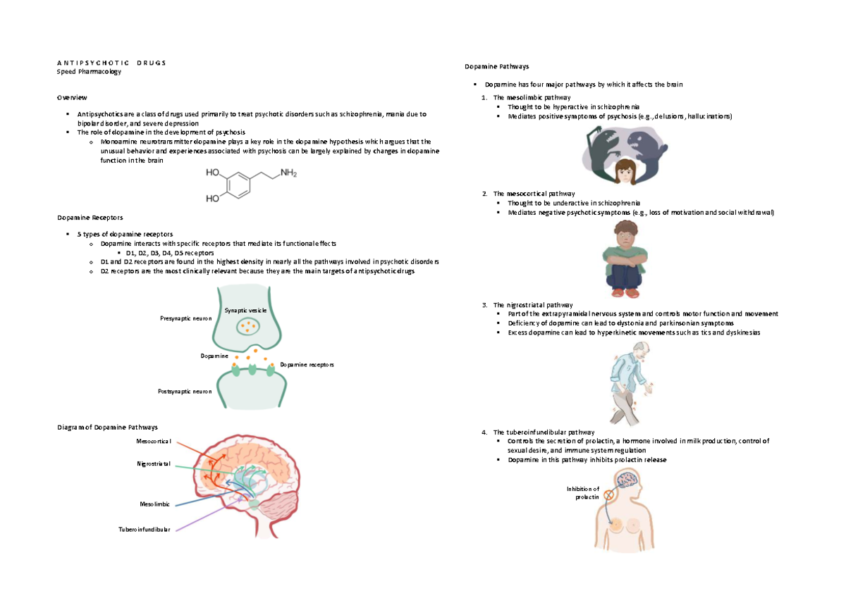 ANTIPSYCHOTIC DRUGS: Overview of Dopamine Pathways & Pharmacology - Studocu