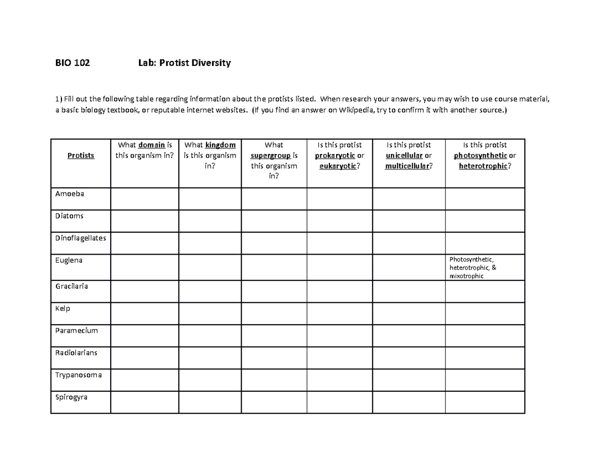 BIO 102 Lab Notes: Exploring Protist Diversity and Classification - Studocu
