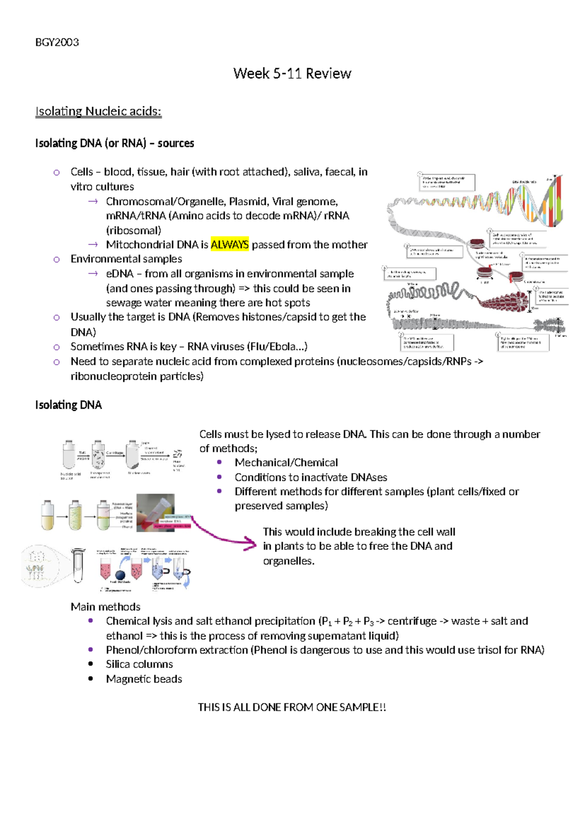 Molecular Biology Notes wk 5-11 - Week 5-11 Review Isolating Nucleic ...
