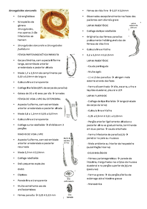 Cestóides - CESTÓIDES: Classe Cestoda: A classe Cestoda é uma classe do ...