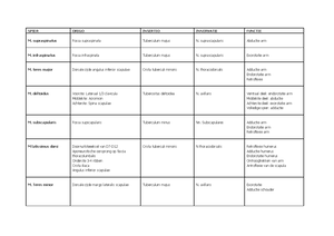 De Pols - De pols Bewegingen die mogelijk zijn in de pols Flexie en ...