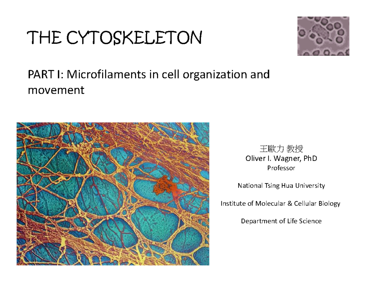 Advanced Cell Biology: Cytoskeleton Overview (Part 1) - Studocu