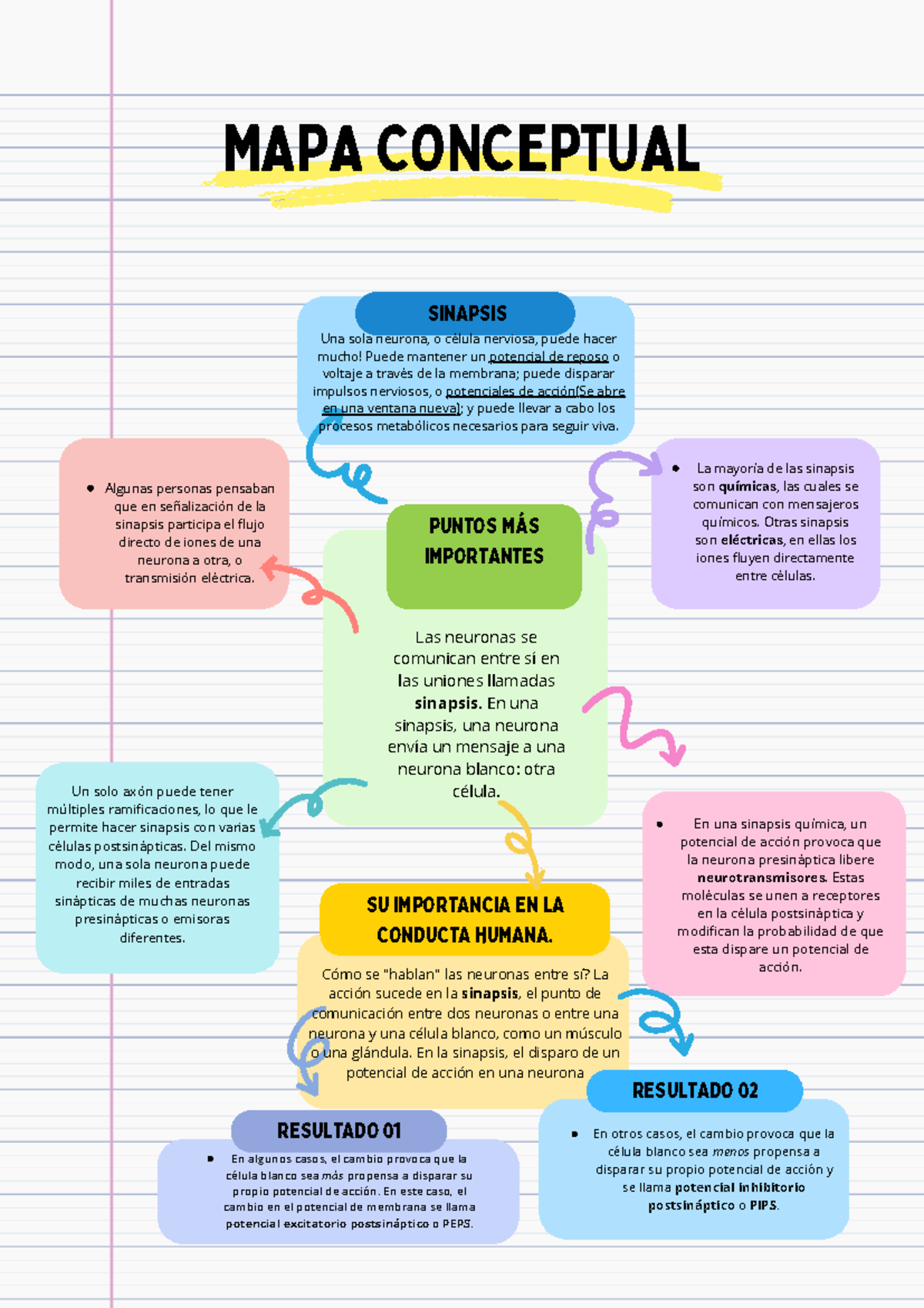 Mapa conceptual - kgvg - PUNTOS MÁS IMPORTANTES SINAPSIS SU IMPORTANCIA ...