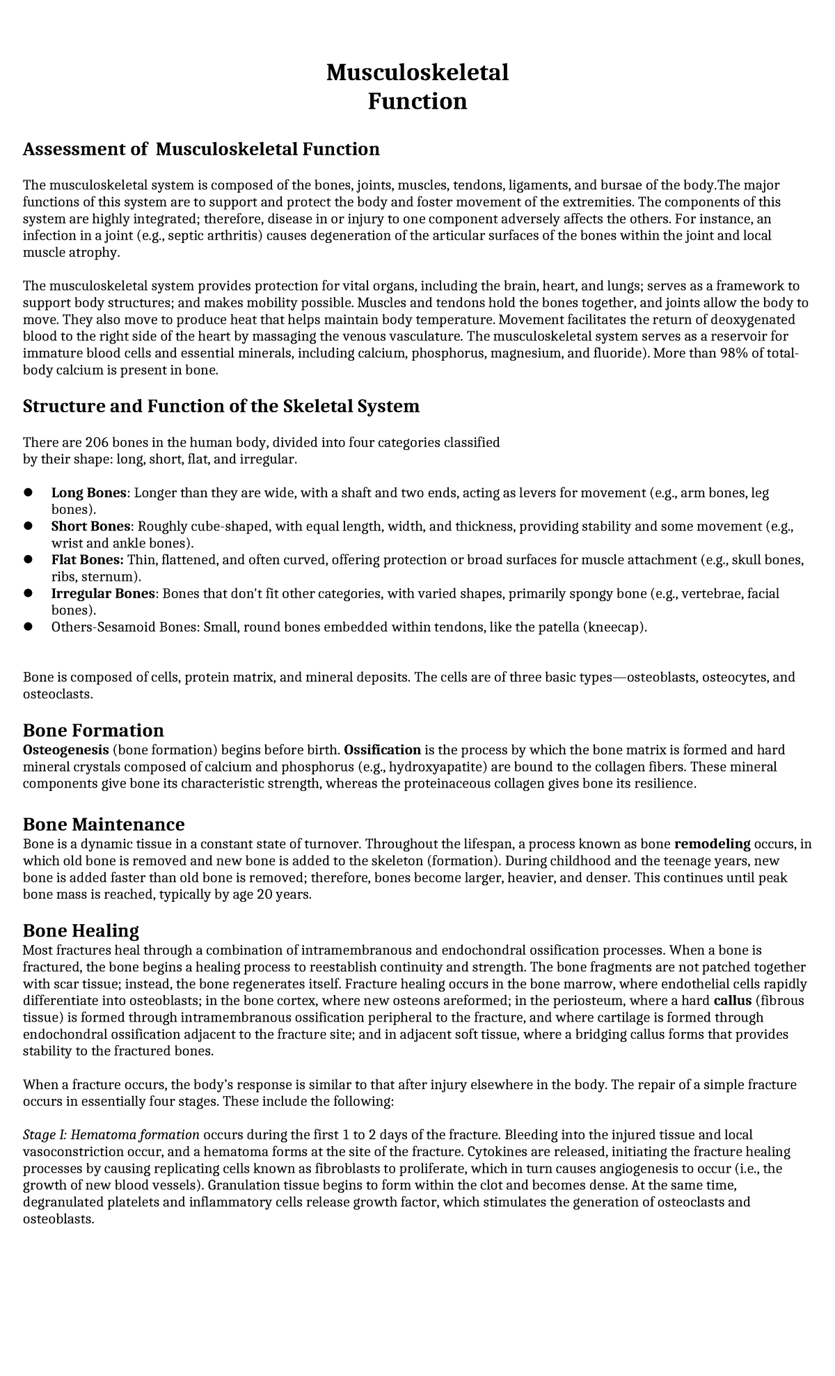 Musculoskeletal Function Assessment: Key Insights for Ortho AND Neuro ...