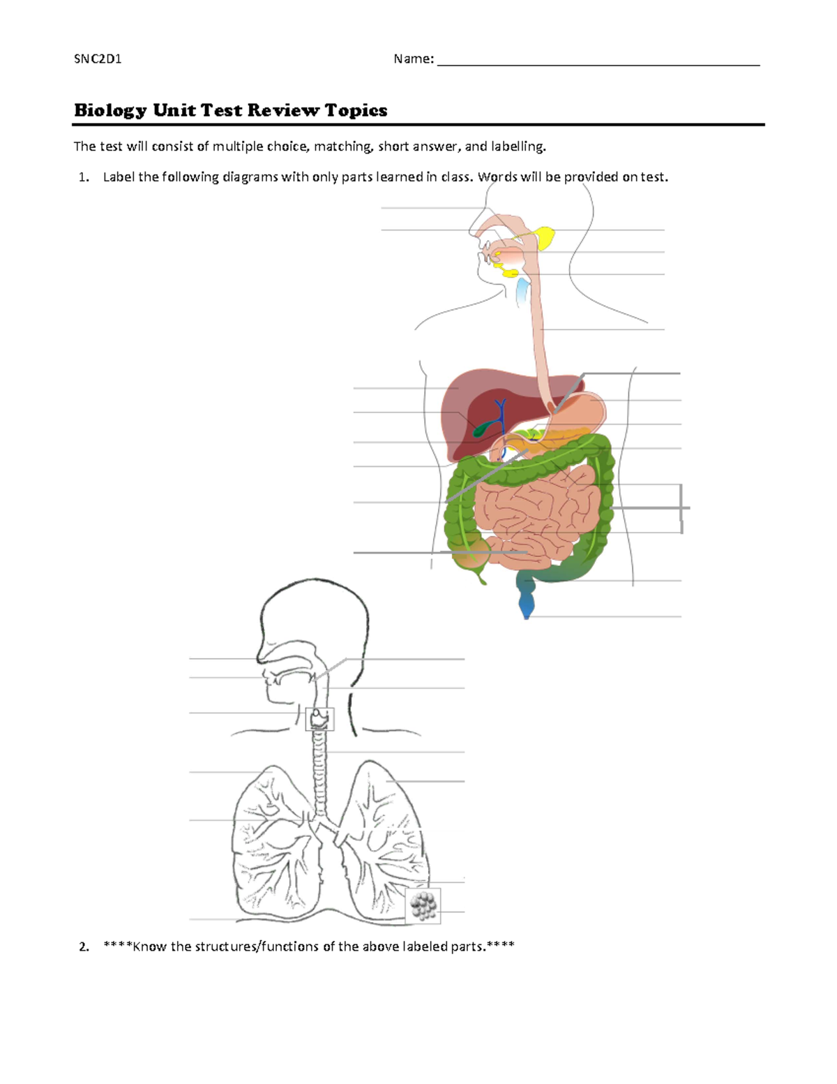 SNC2D1 - Biology Unit Test Review: Key Topics & Concepts - Studocu