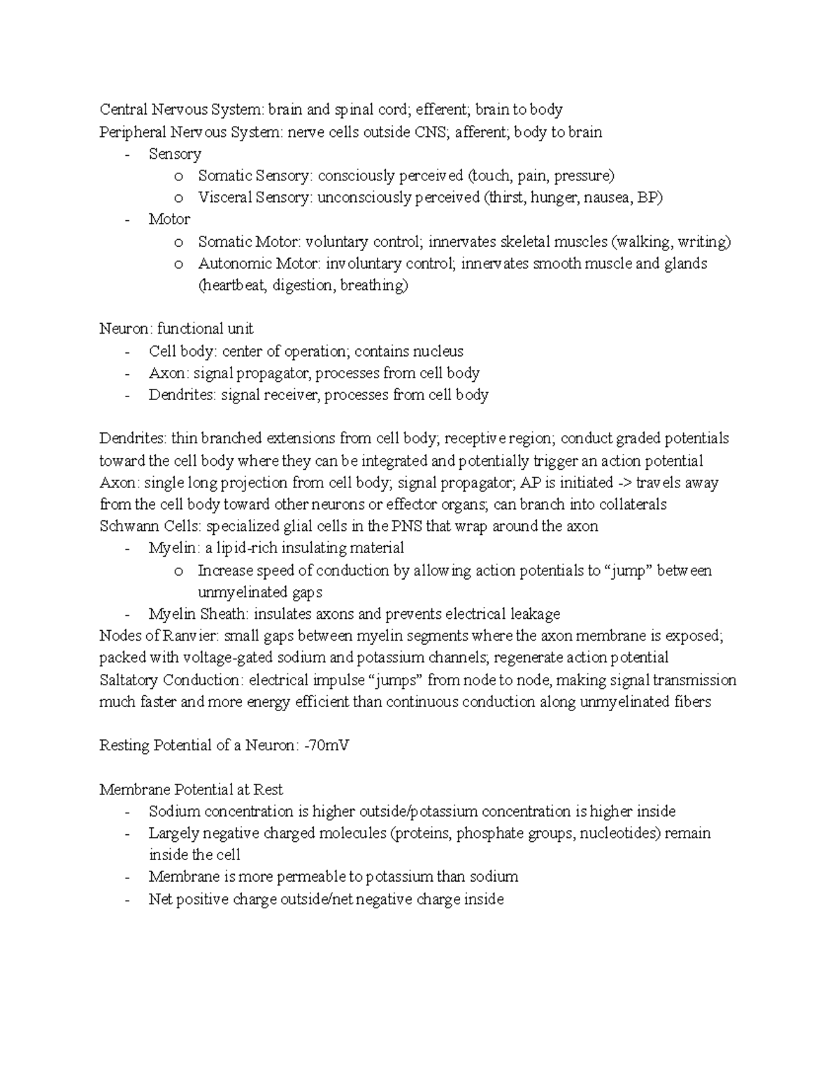 KIN 302 Comprehensive Lecture Notes on CNS, PNS, and Muscle Physiology ...