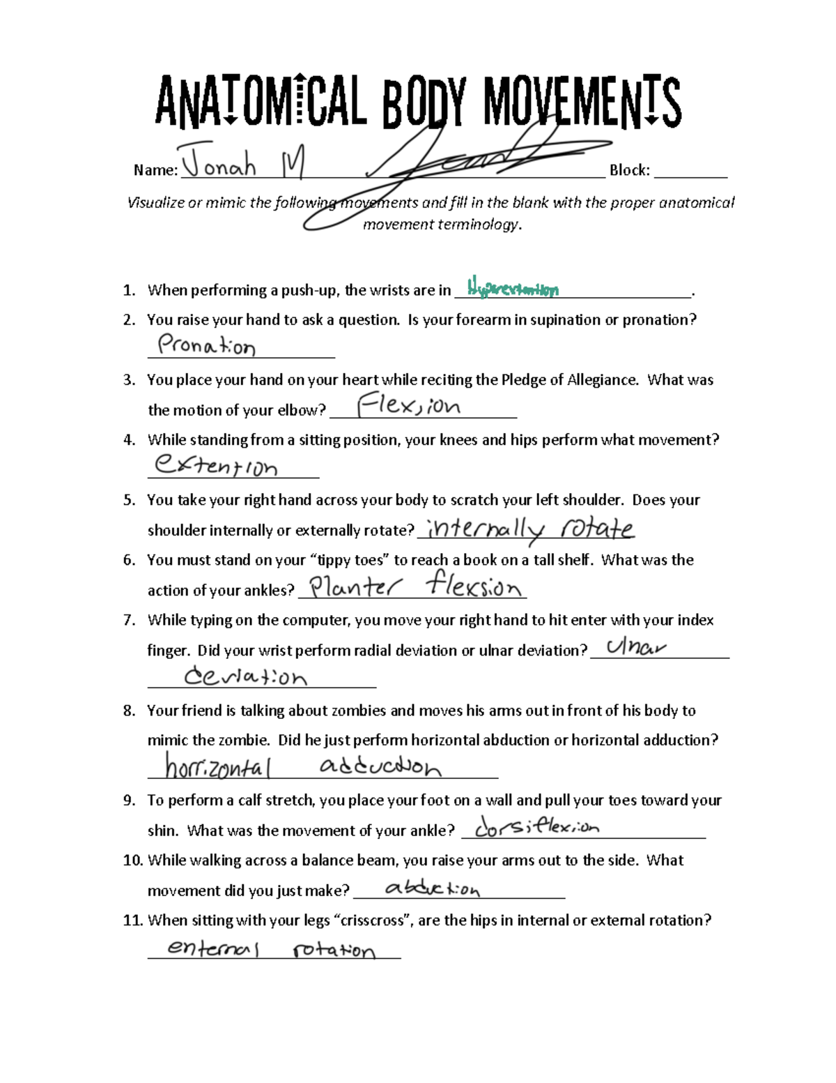 Anatomical Movement Terms with Examples for Kinesiology Class - Studocu