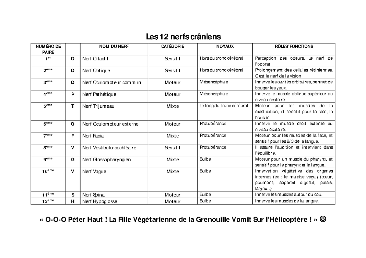 Recapitulatif des 12 nerfs crâniens - Notes de cours Cours 1 - Studocu