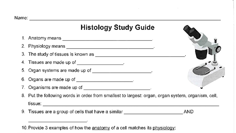 Histology Study Guide: Epithelial, Connective, Muscle, & Nervous ...
