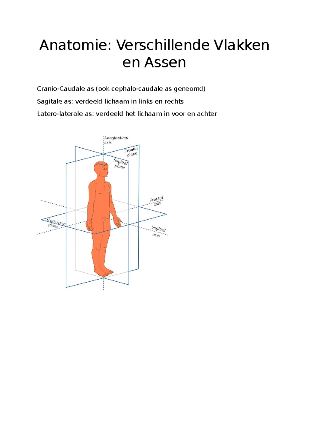 Vlakken en assen - Functionele anatomie - Anatomie: Verschillende ...