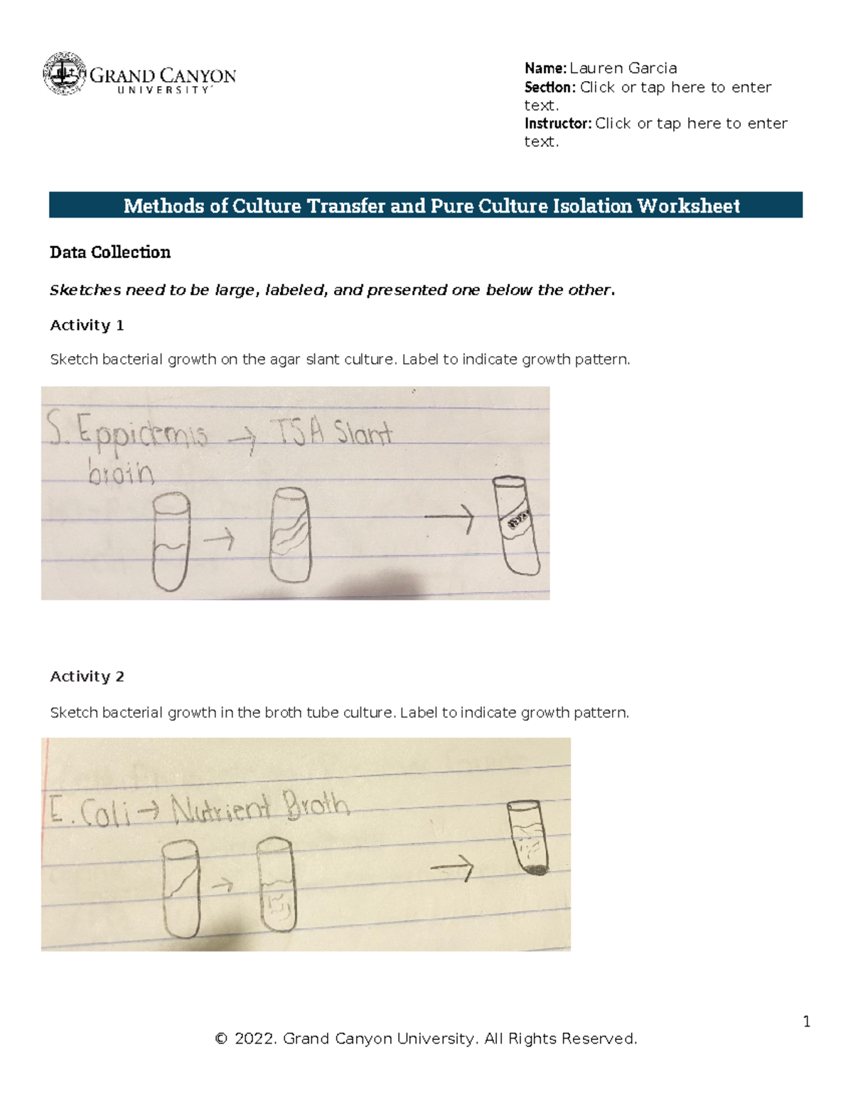 Methods of Culture Transfer: Pure Culture Isolation Worksheet - Studocu