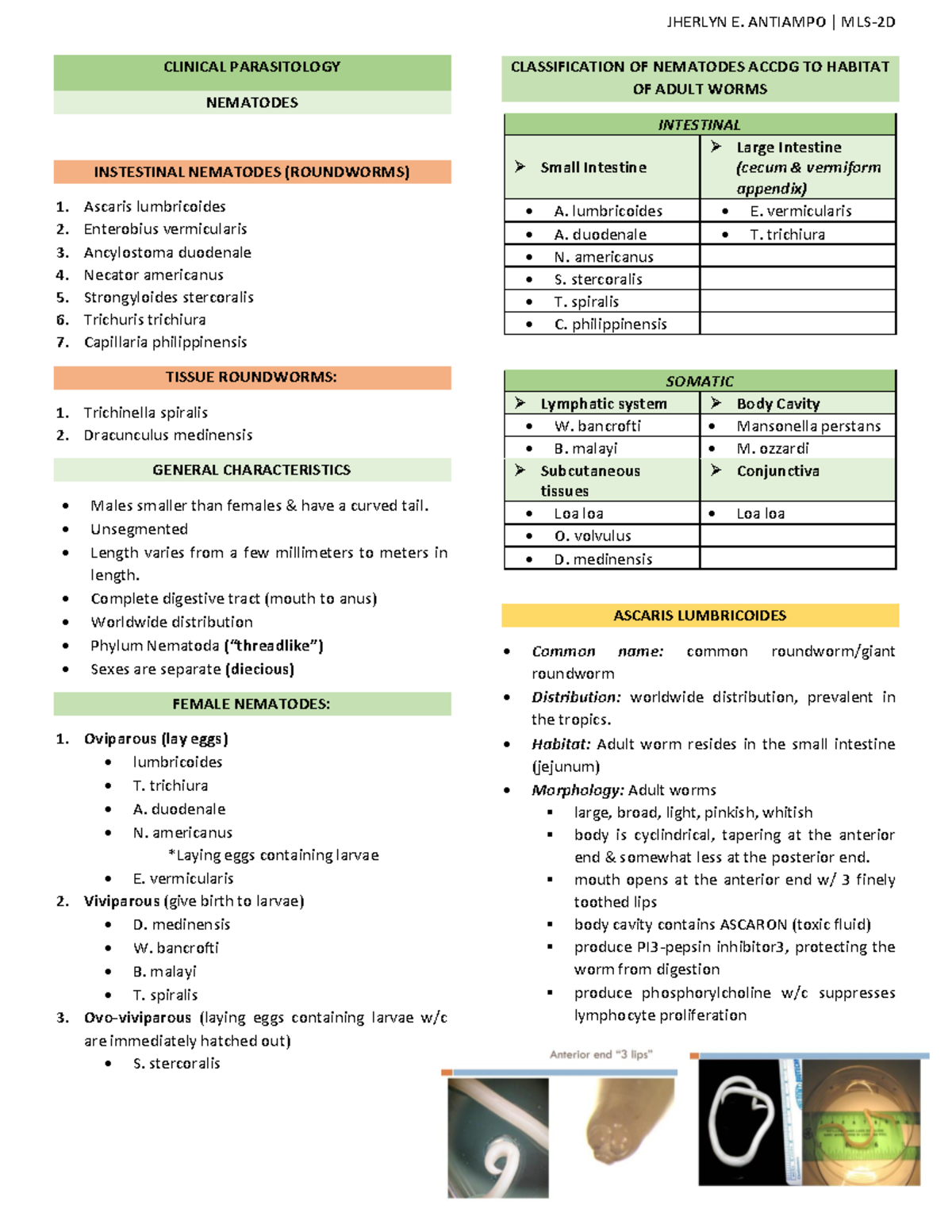 Paralec 2 - Nematodes: Key Concepts in Clinical Parasitology - Studocu