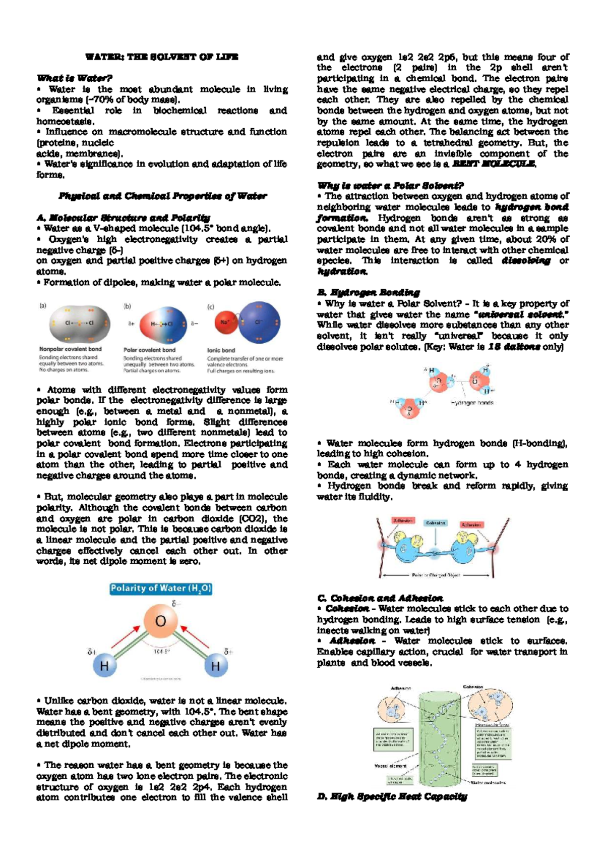 Biochemistry Reviewer: WATER as the Solvent of Life (Course Code ...