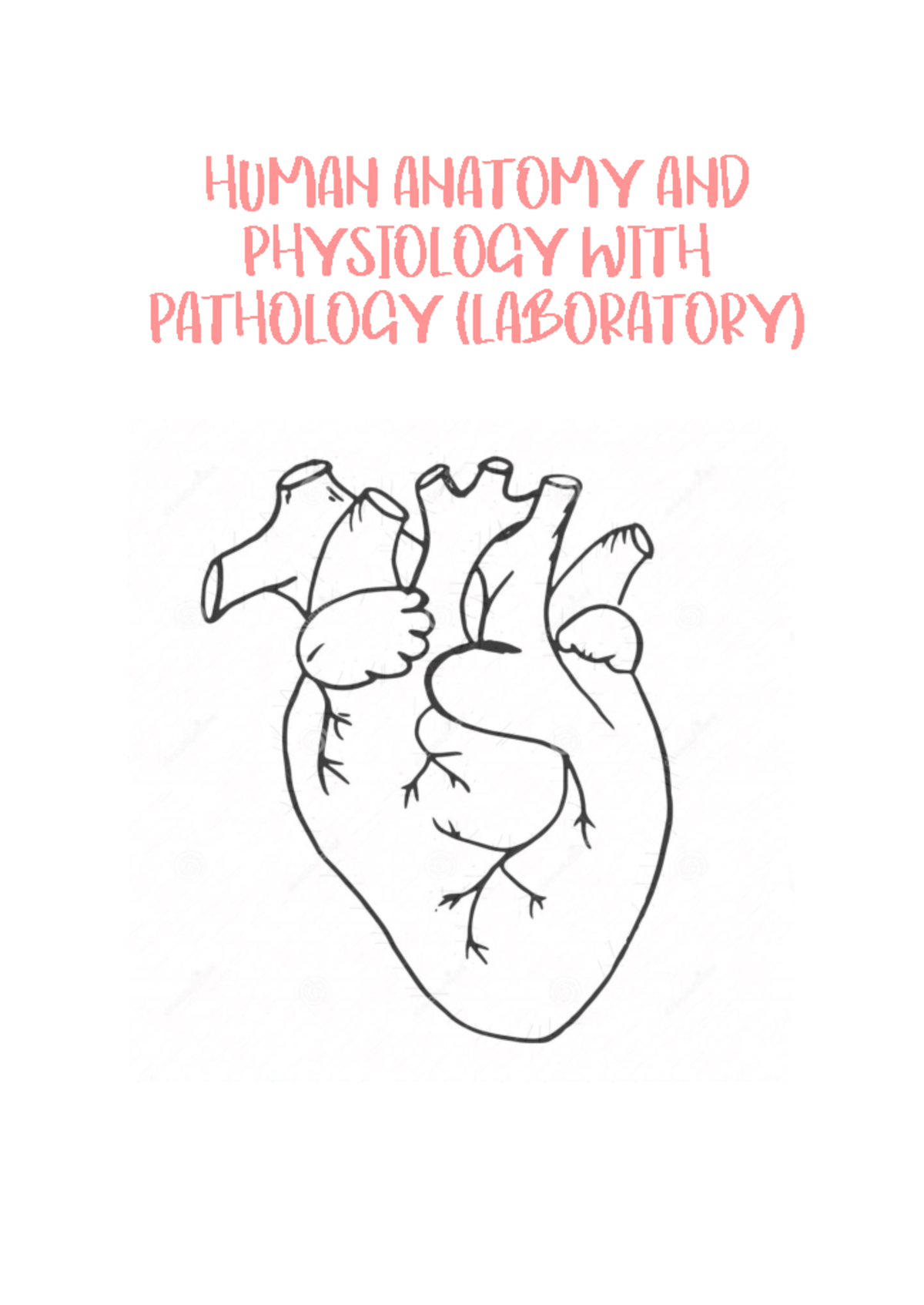 Anaphy-LAB - Comprehensive Anatomy & Physiology Reviewer - Studocu