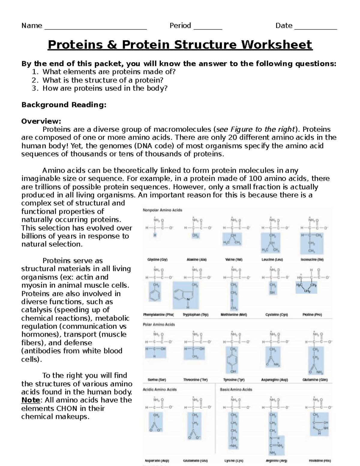 Proteins and Protein Structure Worksheet - Name ...