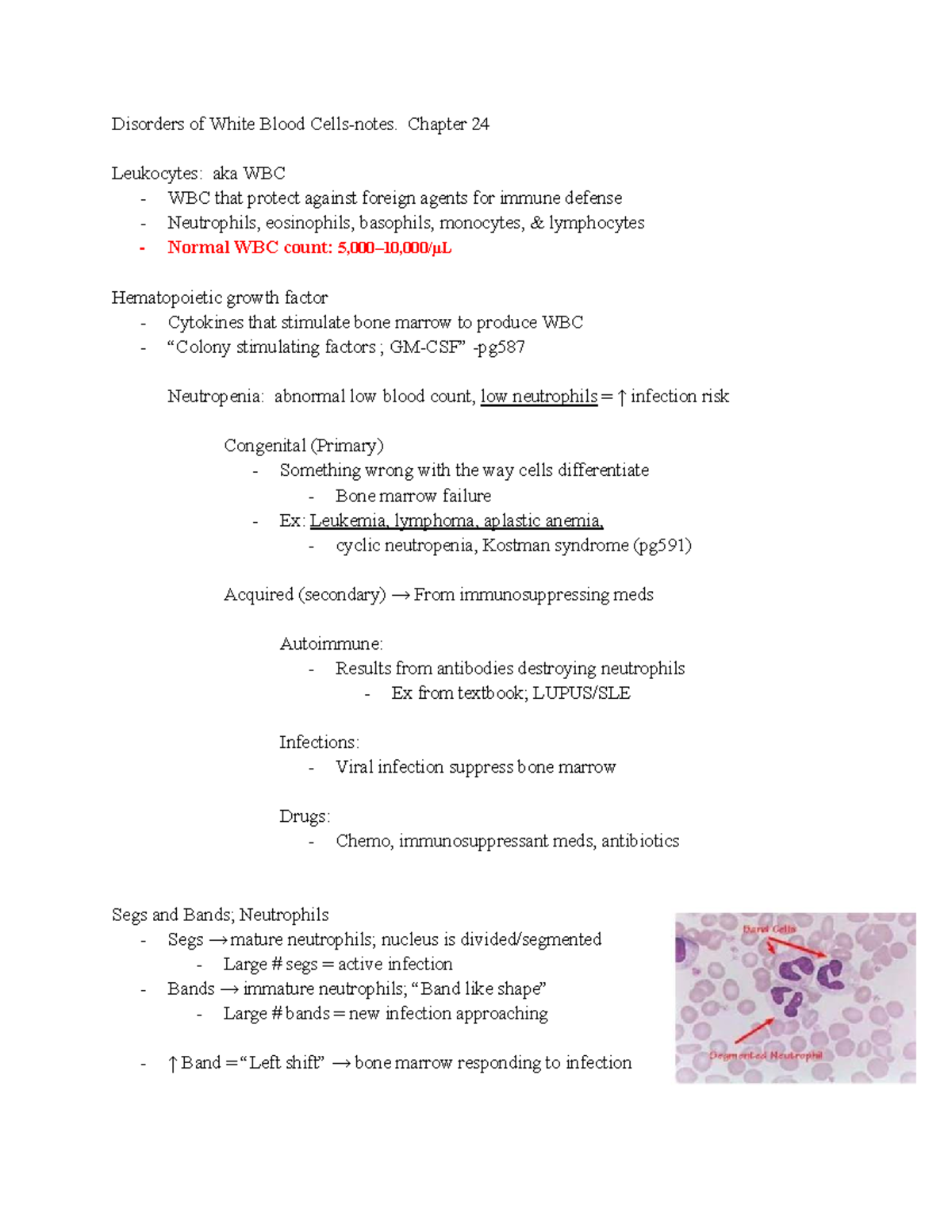 Patho 3: Disorders of White Blood Cells - Chapter 24 Notes - Studocu