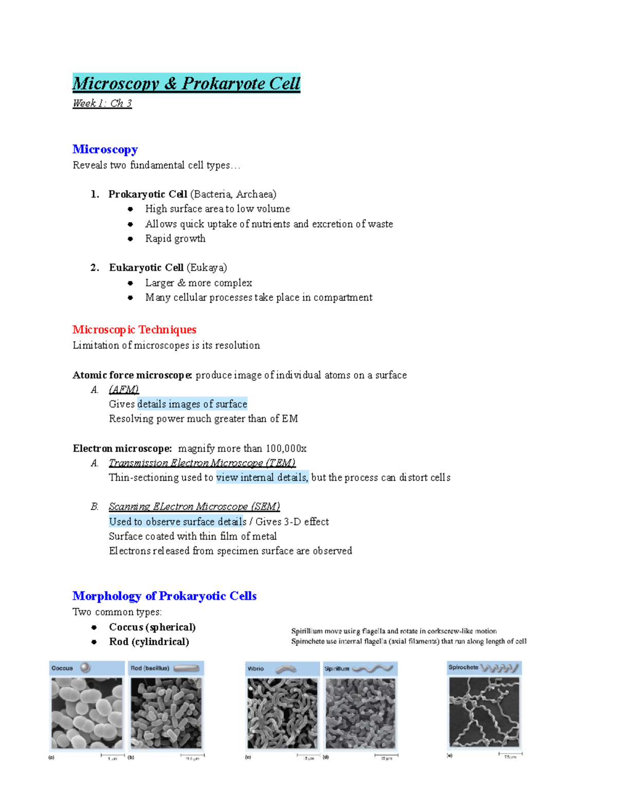 BIO 420: Prokaryotic Cell Structure and Function Notes - Studocu
