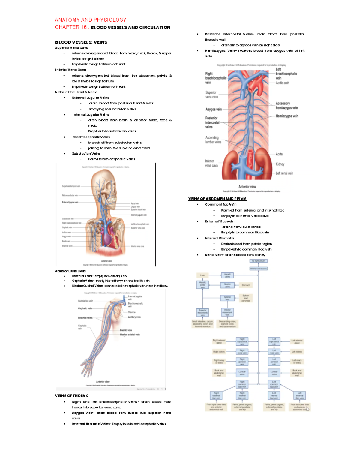 Anaphy - Chapter 16: Blood Vessels & Circulation Study Notes - Studocu