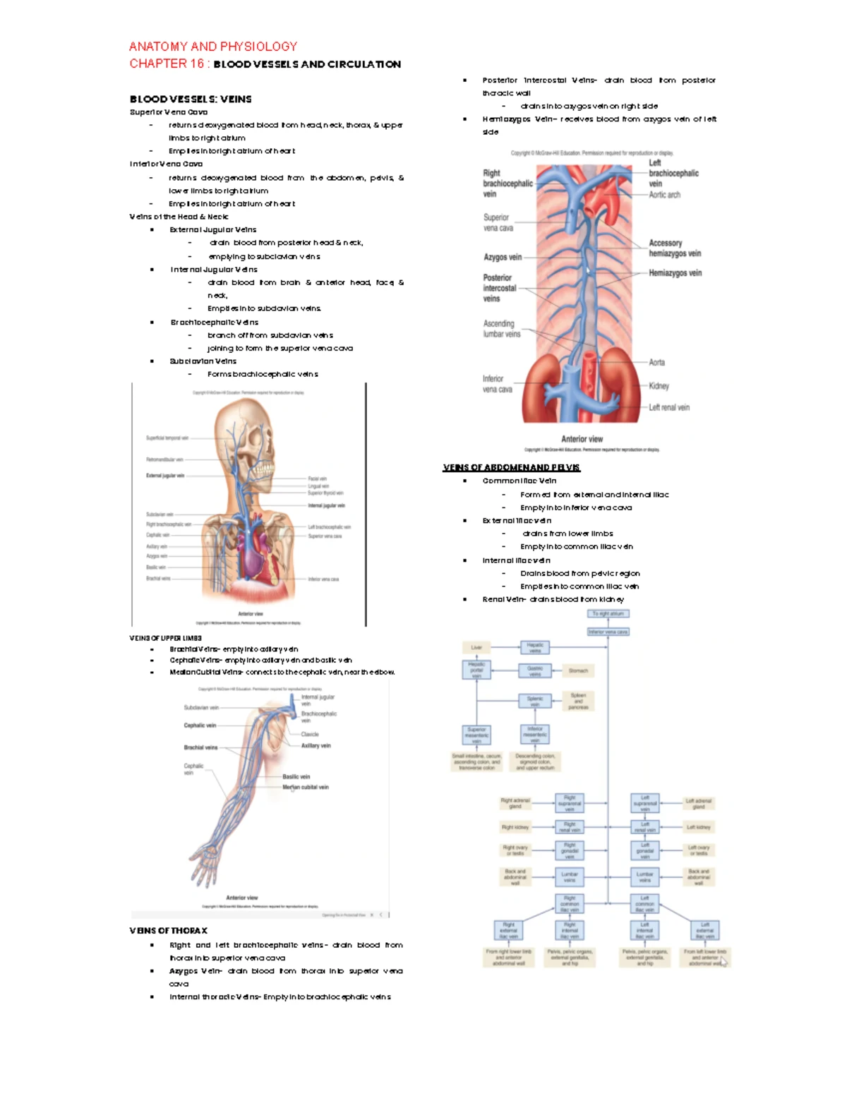 Anaphy - Chapter 16: Blood Vessels & Circulation Study Notes - Studocu