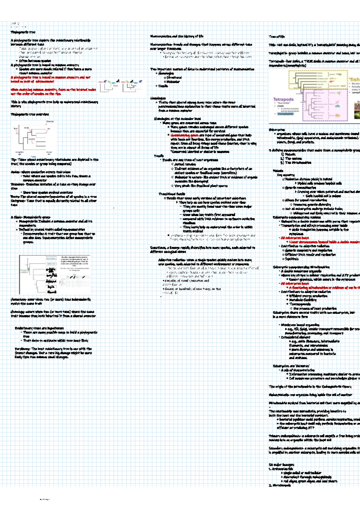Unit 3: Phylogenetic Trees and Evolutionary Relationships - Studocu