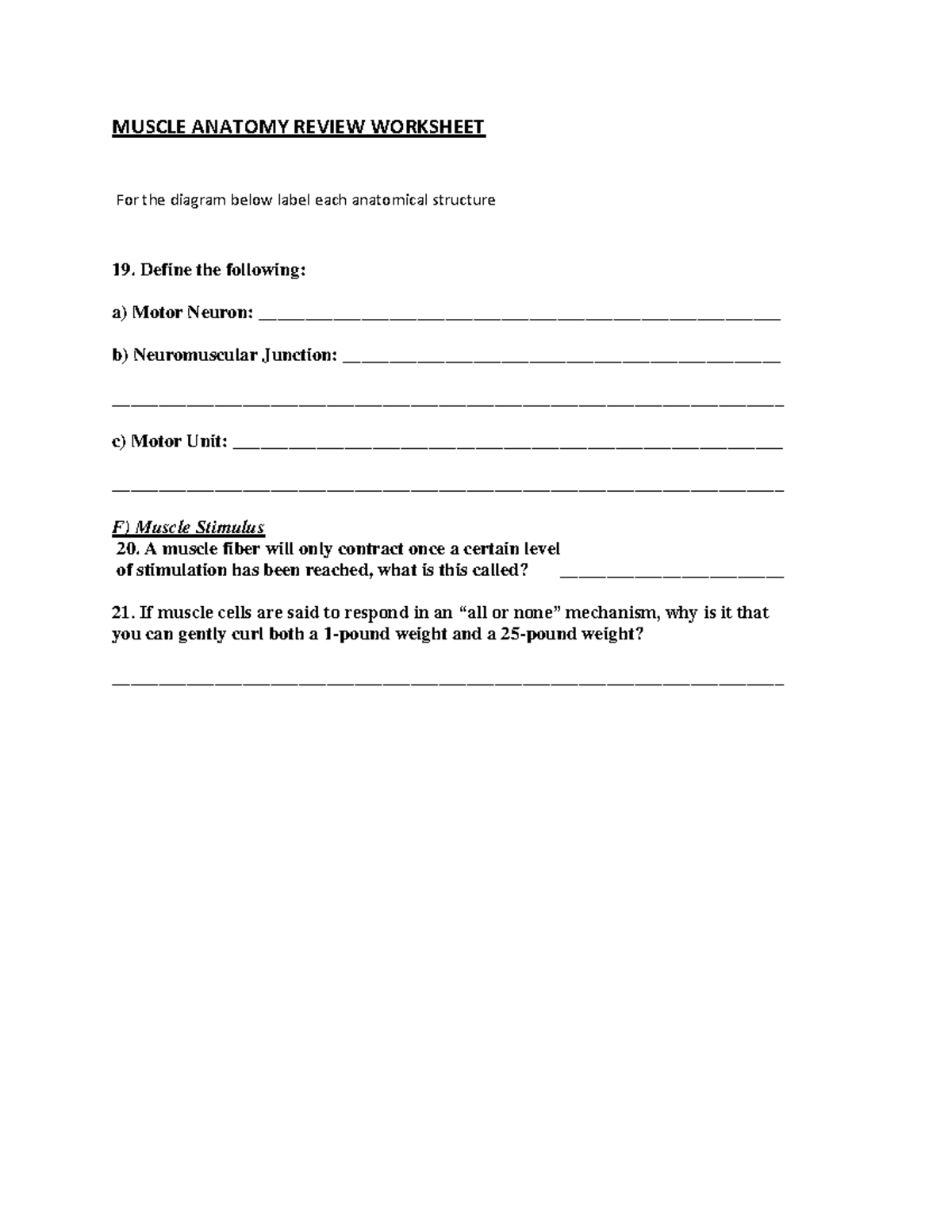 Muscle anatomy physiology review ws - MUSCLE ANATOMY REVIEW WORKSHEET ...