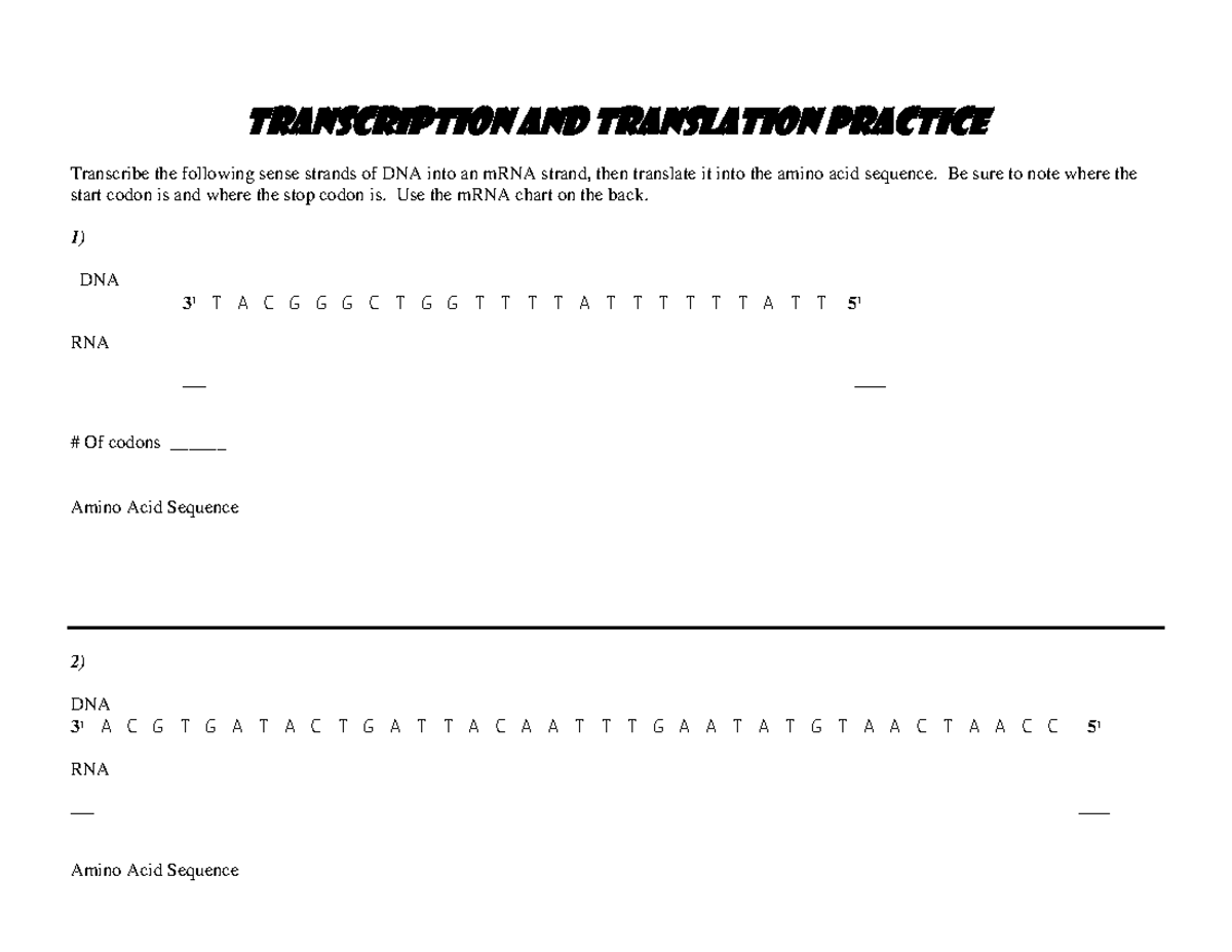 Transcription and Translation Practice Worksheet - Genetics 101 - Studocu