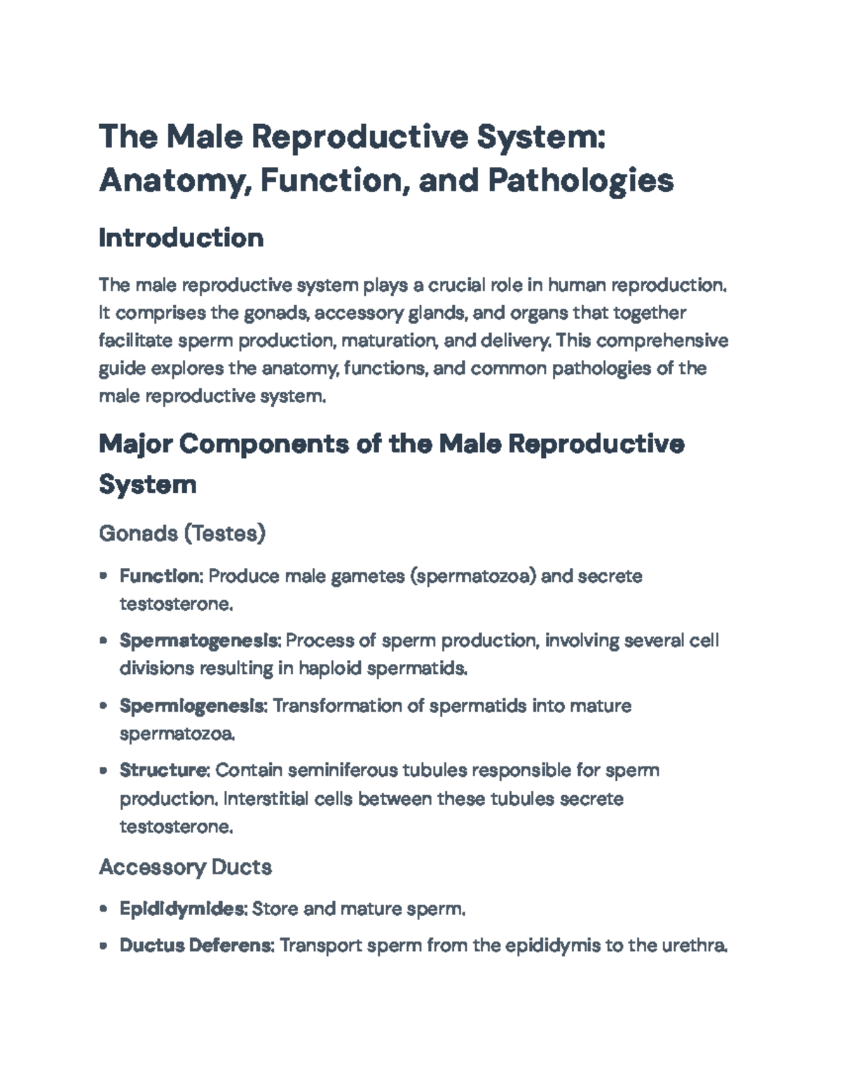Male Reproductive System: Anatomy, Functions & Pathologies Guide - The ...
