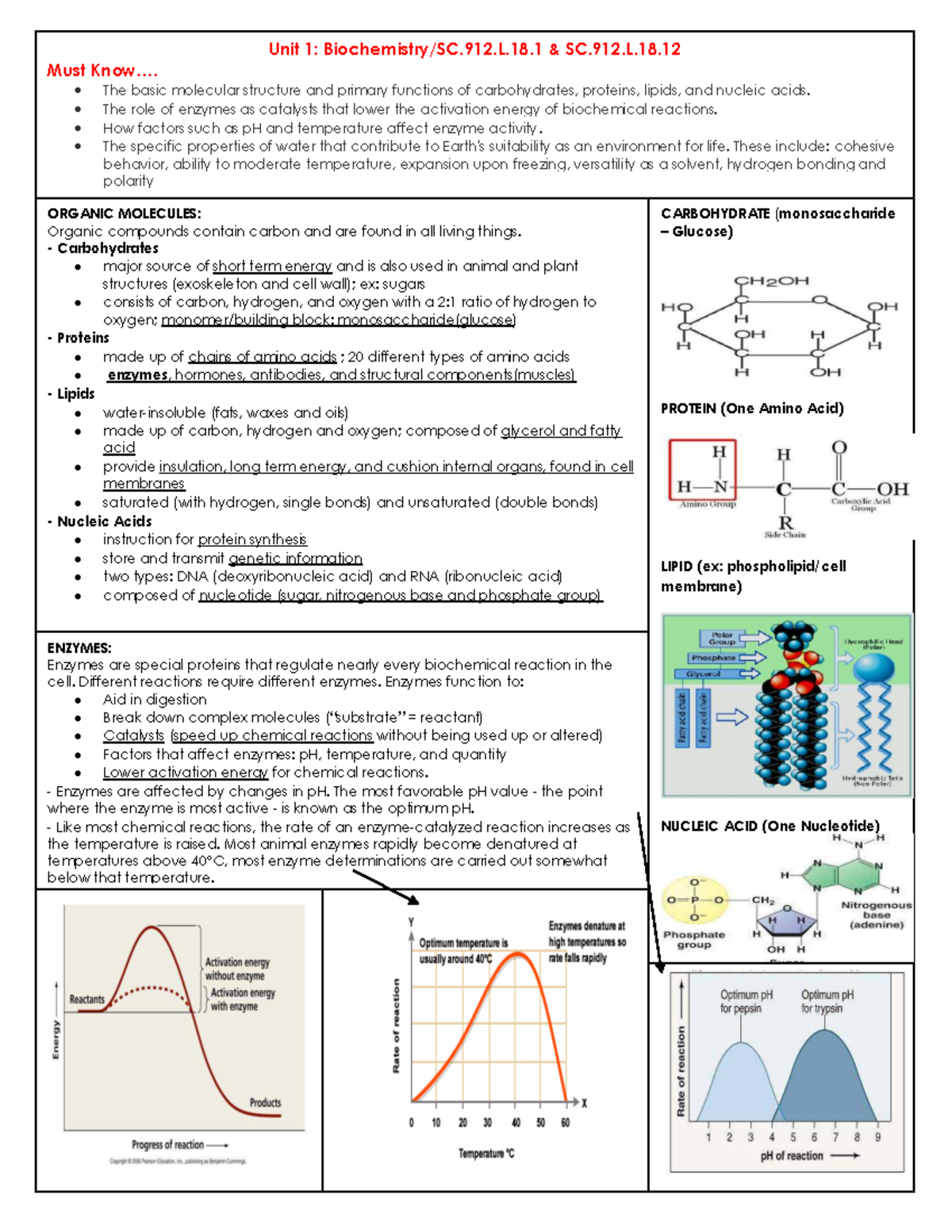 Unit 1: Biochemistry Overview for SC.912.L.18.1 & SC.912.L.18.12 - Studocu