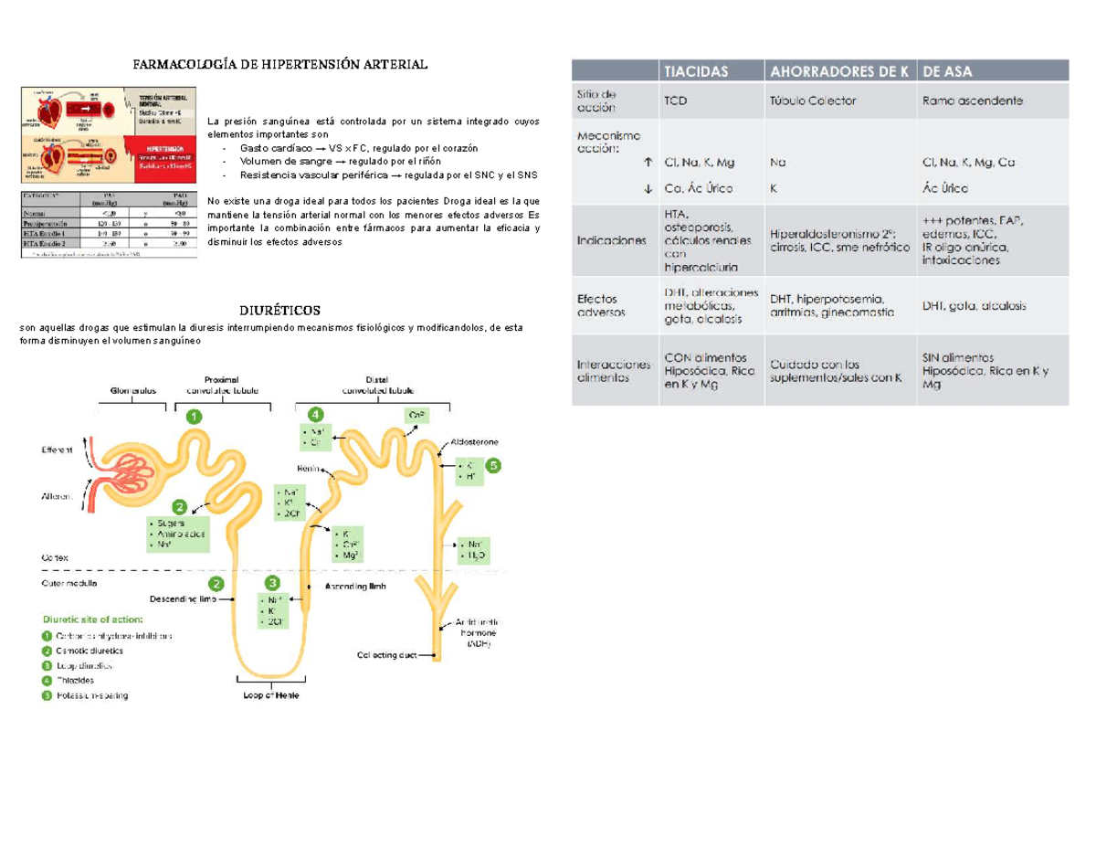 FARMACOLOGÍA DE HIPERTENSIÓN ARTERIAL: Mecanismos y Tratamientos - Studocu