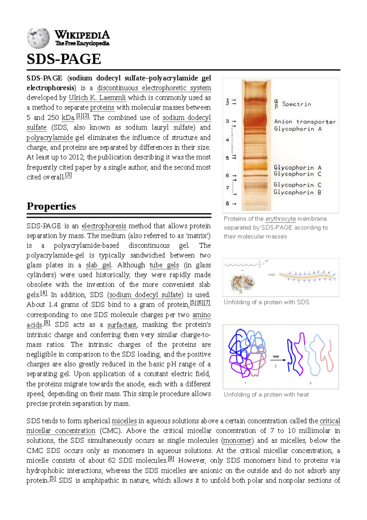 SDS-PAGE: A Comprehensive Overview of Protein Separation Techniques ...