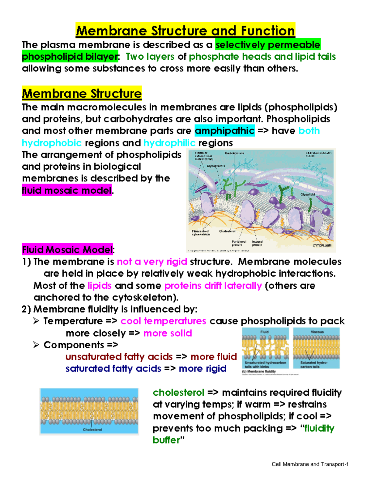 Cell Membrane Structure and Function: Key Concepts and Mechanisms ...